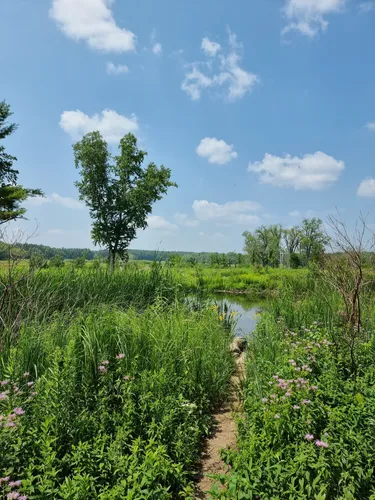 Best Hikes and Trails in Univ Of Wisconsin Arboretum | AllTrails