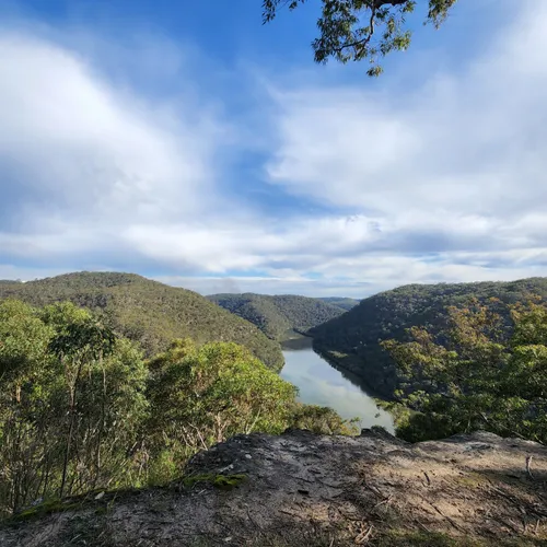 10 Best Hikes and Trails in Berowra Valley National Park | AllTrails