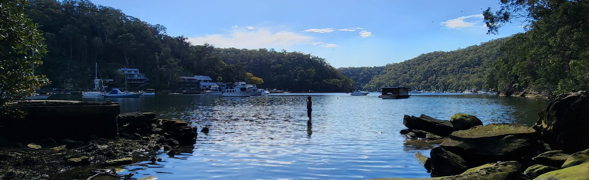 Mount Kuring-gai to Cowan via Lyrebird Gully Track and GNW: 114 Reviews ...