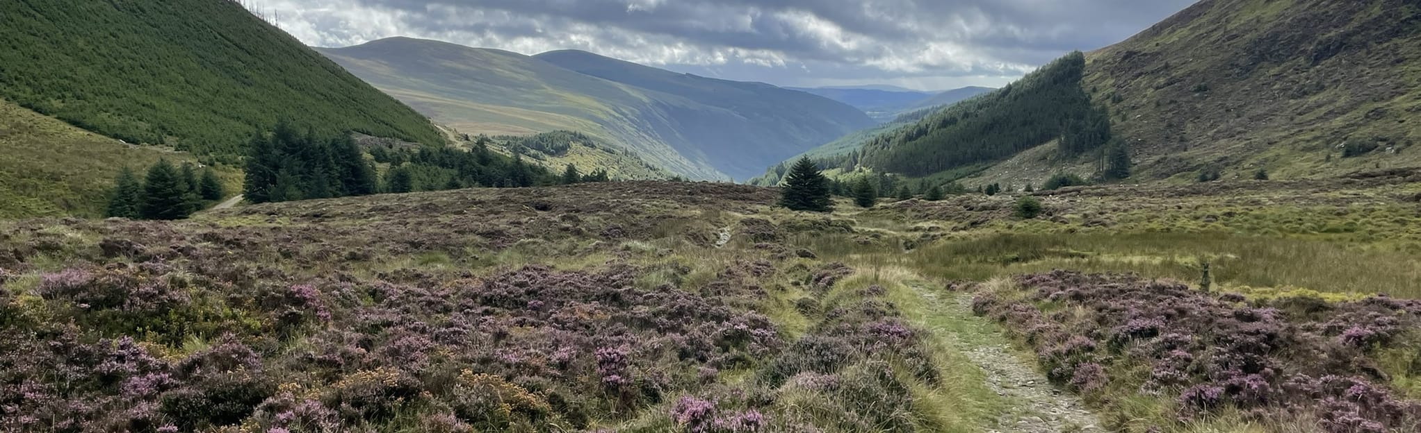 Drumgoff Forest to Lugnaquilla and Glenmalure: 22 Reviews, Map - County ...