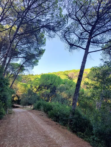 2023 Best 10 Cave Trails in Monsanto Forest Park | AllTrails