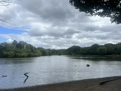 Best River Trails in Epping Forest | AllTrails