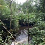 Sgwd Gwladys (Lady Falls), Neath Port Talbot, Wales - 216 Reviews, Map ...