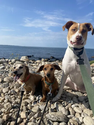 Best Hikes and Trails in Bluff Point State Park | AllTrails