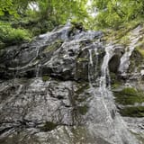 Jones Run Falls Trail, Virginia - 787 Reviews, Map | AllTrails