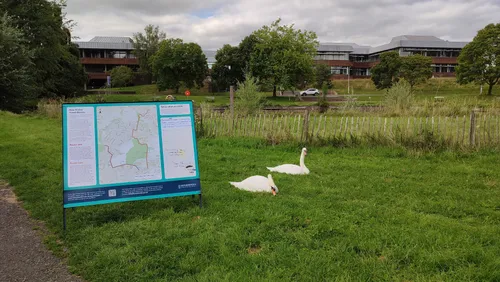 Best Hikes and Trails in Worcester Woods Country Park | AllTrails