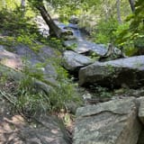 Hoye Crest (Backbone Mountain), West Virginia - 540 Reviews, Map ...