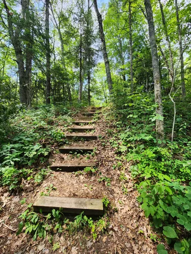 Best Hikes and Trails in Governor Earl Peshtigo River State Forest ...