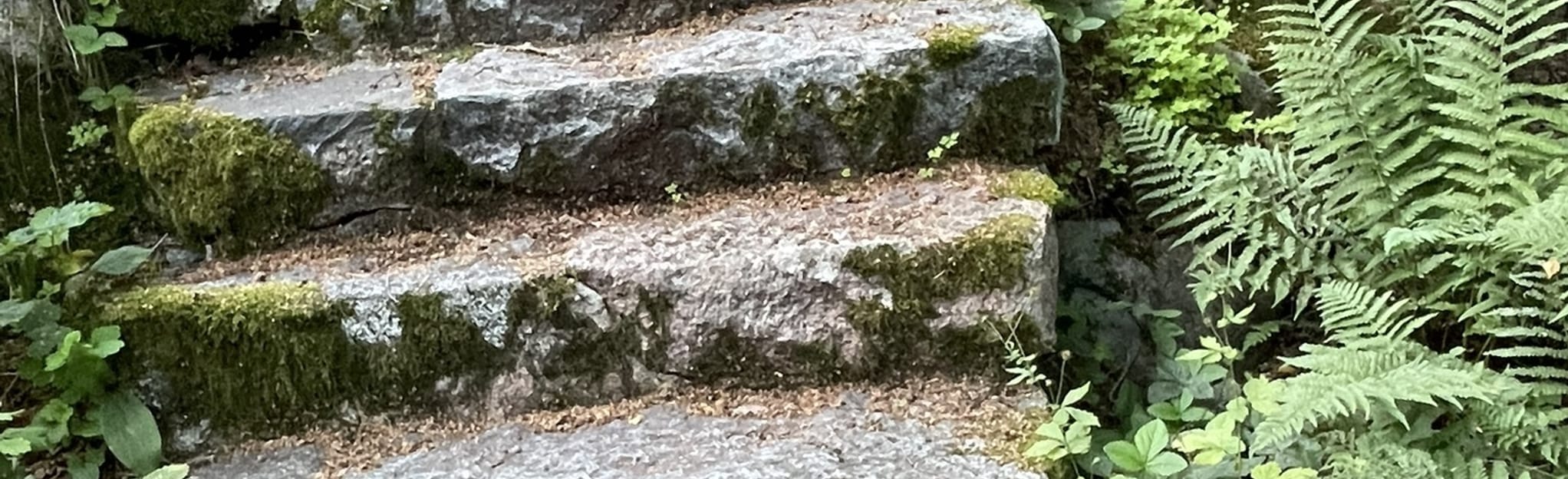 Leppävaara Urban Walks: Perkkaa, Uusimaa, Finland - Map, Guide | AllTrails