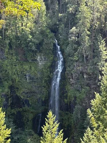 Best Hikes and Trails in Prospect State Scenic Viewpoint | AllTrails