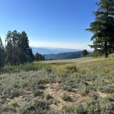 Bogus Basin Loop Trail, Idaho - 252 Reviews, Map | AllTrails