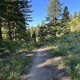 Bogus Basin Loop Trail, Idaho - 252 Reviews, Map | AllTrails