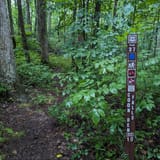 Coon Den Falls via Appalachian Trail, Tennessee - 335 Reviews, Map ...