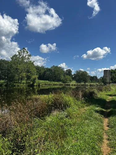 2023 Best Lake Trails in Brumley Nature Preserve | AllTrails