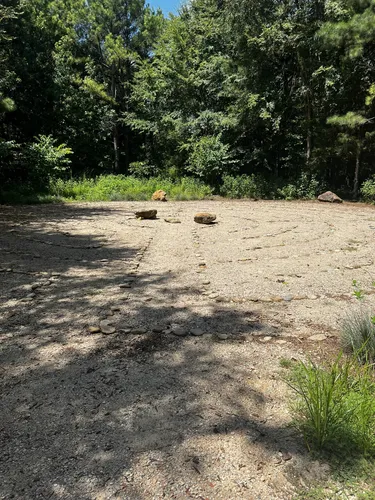 2023 Best Lake Trails in Brumley Nature Preserve | AllTrails