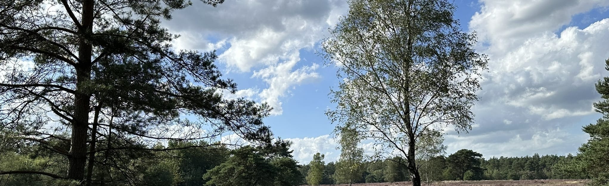 Kroondomein het Loo - Hartengse Sprengen: 13 Reviews, Map - Gelderland ...