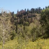 Lizard Lake Trail, Utah - 55 Reviews, Map | AllTrails