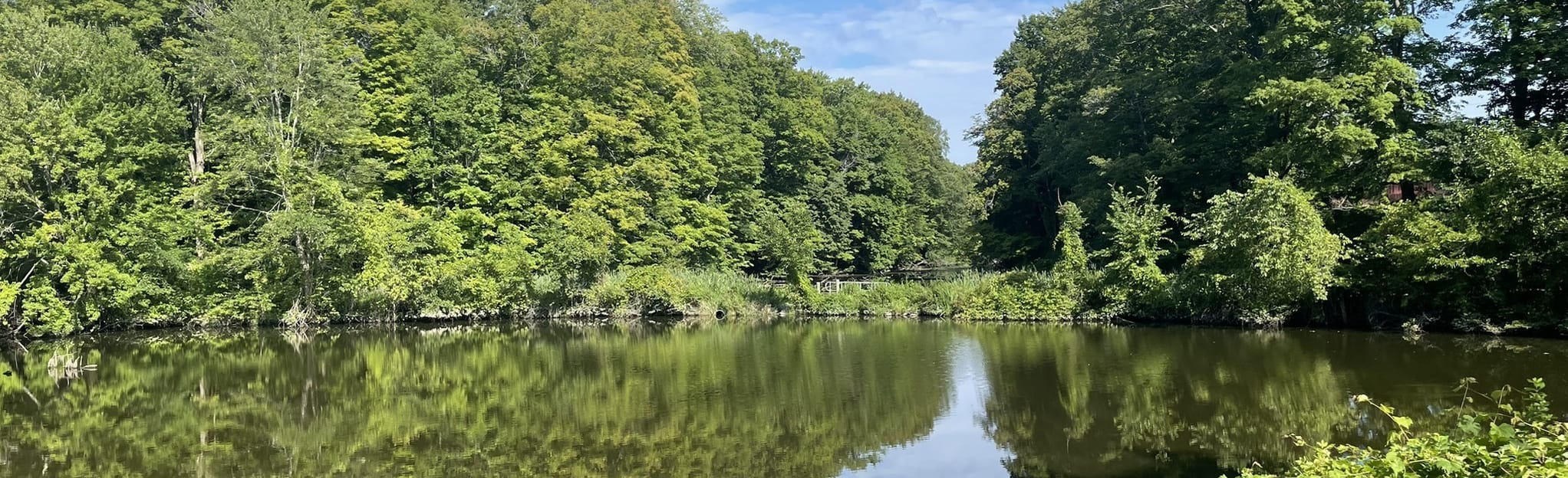 Vassar Farm Loop, New York - 270 Reviews, Map | AllTrails