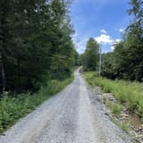 Ossipee Hill Trail, Maine - 206 Reviews, Map | AllTrails