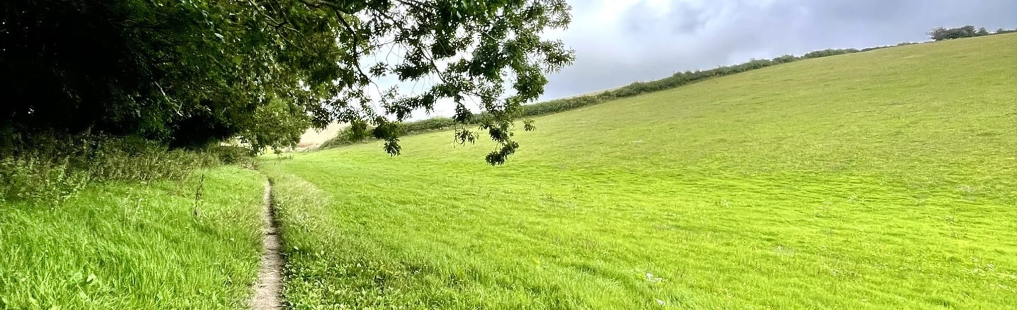 Ditchling Beacon and Highpark Wood Circular, West Sussex, England - 44 ...