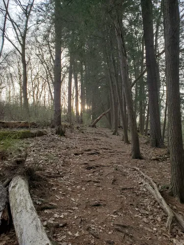 Best Hikes and Trails in Bushy Run Battlefield | AllTrails