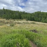 Engineer Mountain Trail, Colorado - 346 Reviews, Map | AllTrails
