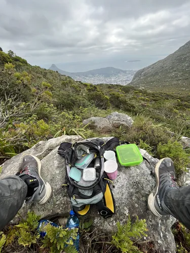 Best Hikes and Trails in Newlands Forest | AllTrails