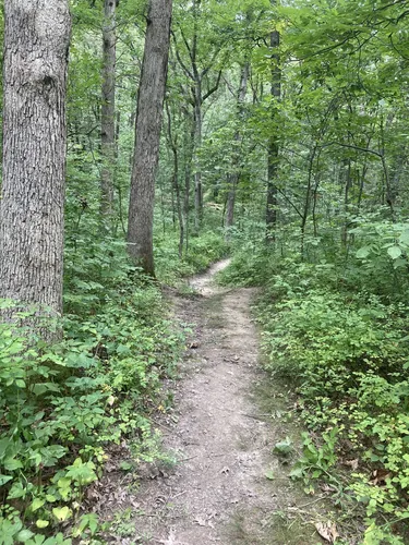 2023 Best Wildlife Trails in Crown Point | AllTrails