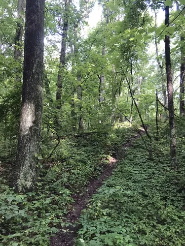 2023 Best Long Trails in Waterloo State Recreation Area | AllTrails