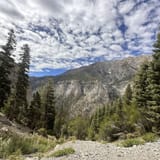 Mary Jane Falls Trail [CLOSED], Nevada - 4,746 Reviews, Map | AllTrails