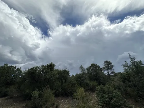 Best Hikes and Trails in Acker Park | AllTrails