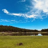 Crystal Point Trail, Arizona - 529 Reviews, Map | AllTrails