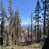 Becker Peak Trail, California - 125 Reviews, Map | AllTrails