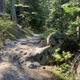 Hidden Lake Trail, Washington - 618 Reviews, Map | AllTrails