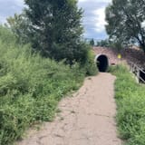 Sinton Trail, Colorado - 319 Reviews, Map | AllTrails