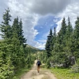Ute Trail, Colorado - 540 Reviews, Map | AllTrails