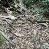 Compression Falls Trail, North Carolina - 377 Reviews, Map | AllTrails