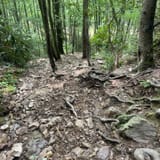Compression Falls Trail, North Carolina - 377 Reviews, Map | AllTrails