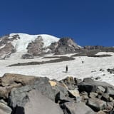 Muir Snowfield Ski Tour, Washington - 1,308 Reviews, Map | AllTrails