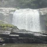 Compression Falls Trail, North Carolina - 377 Reviews, Map | AllTrails