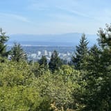 Council Crest via Marquam Trail, Oregon - 1,875 Reviews, Map | AllTrails