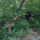 Wildcat Falls and Six Mile Creek Loop Trail, South Carolina - 379 ...