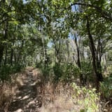 Pilot Knoll Trail, Texas - 620 Reviews, Map | AllTrails