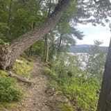 Norrie Point Trail, New York - 741 Reviews, Map | AllTrails