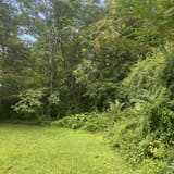 Norrie Point Trail, New York - 741 Reviews, Map | AllTrails