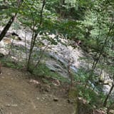 Cedar Run Falls Trail, Virginia - 675 Reviews, Map | AllTrails