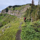 Wind Ridge Trail, Alberta, Canada - 1,120 Reviews, Map | AllTrails