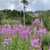 Ymir Mountain, British Columbia, Canada - 42 Reviews, Map | AllTrails