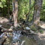 Coquitlam River Walk , British Columbia, Canada - 335 Reviews, Map ...