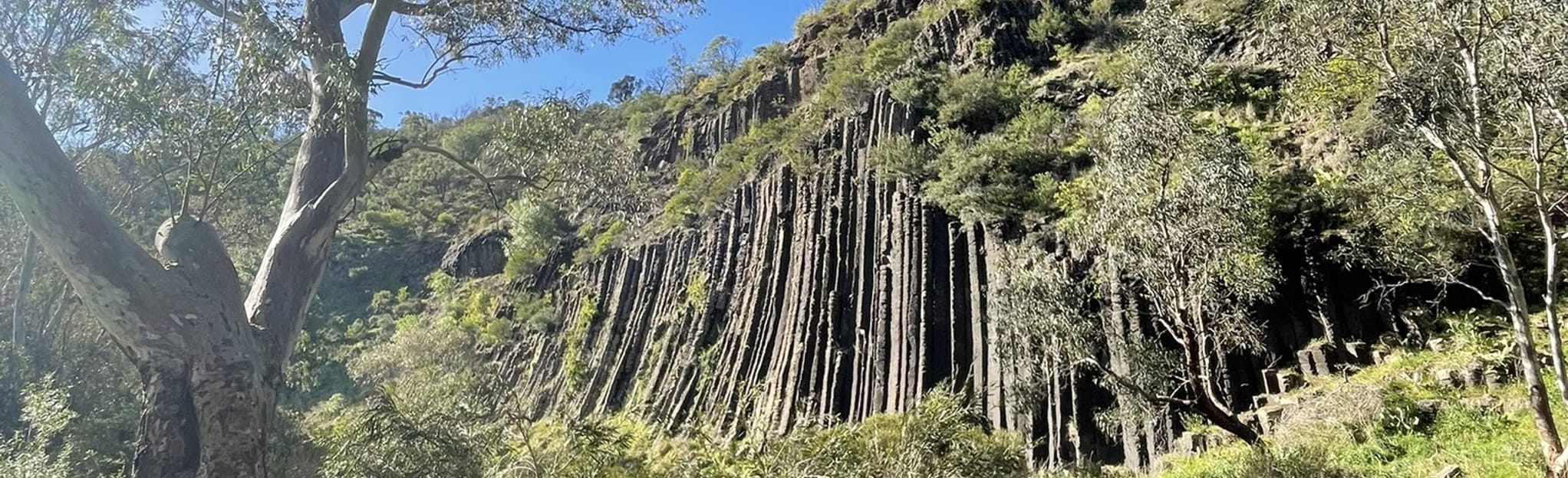 Organ Pipes, Rosette Rock and Tesselated Pavement Circuit: 412 fotos ...